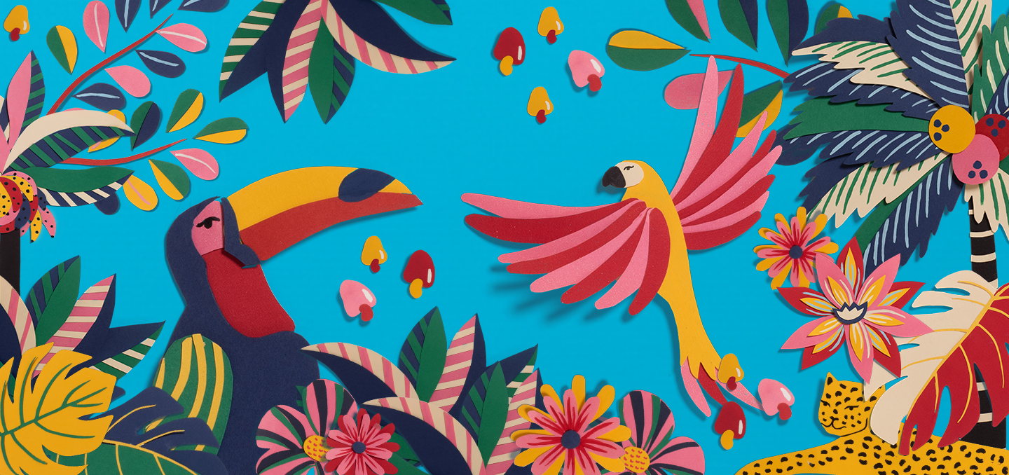 Havaianas FARM X HAVAIANAS | Havaianas®